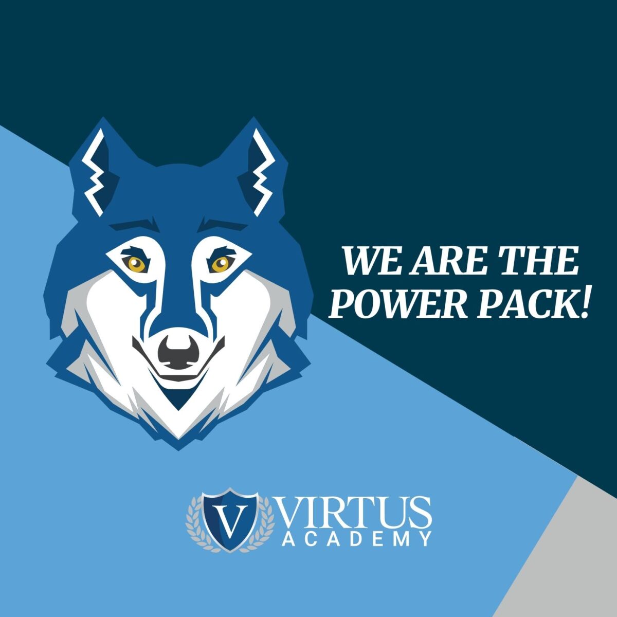 Virtus Academy — K–12 Charter School – Florence & Darlington counties